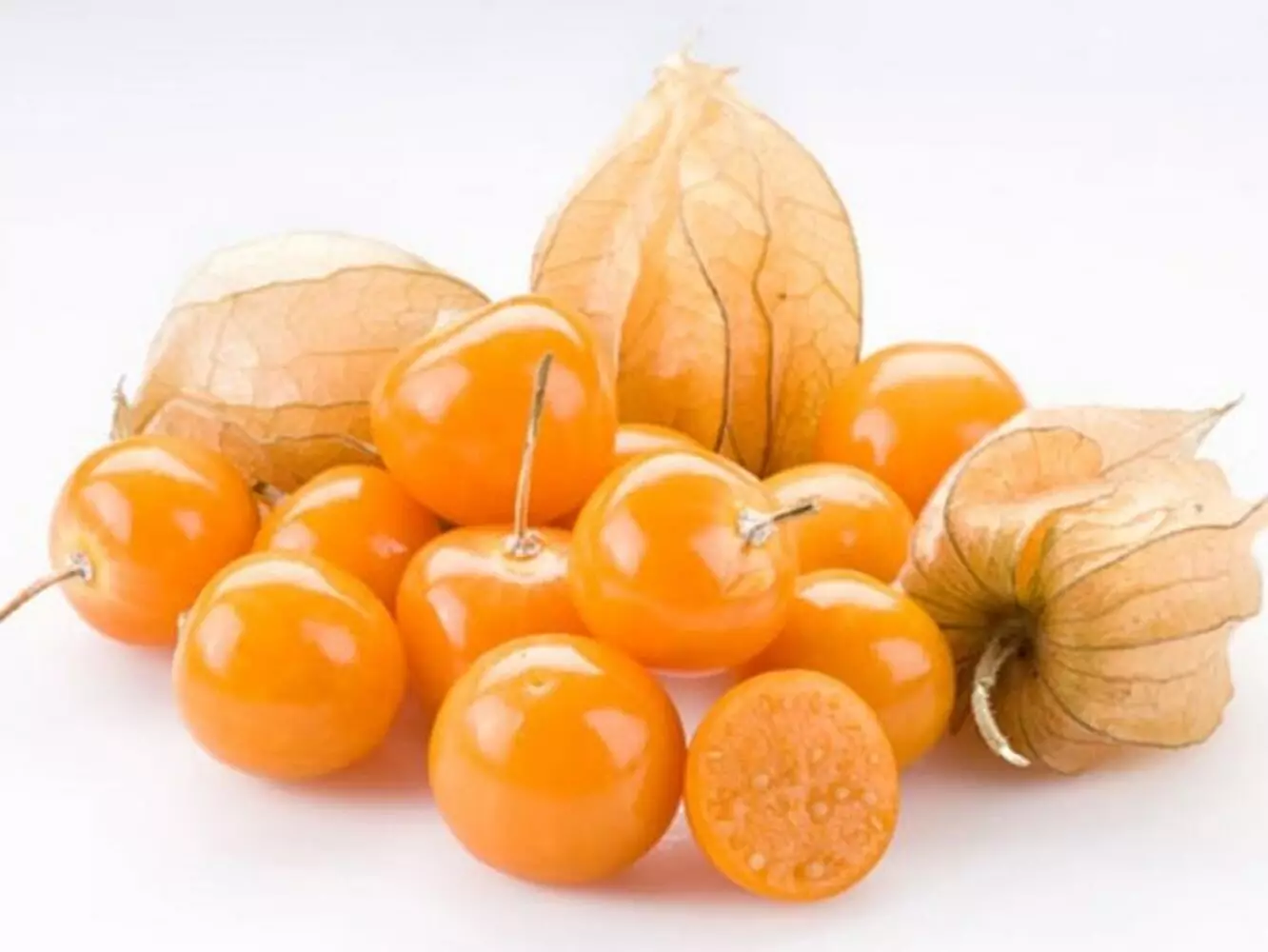 Physalis