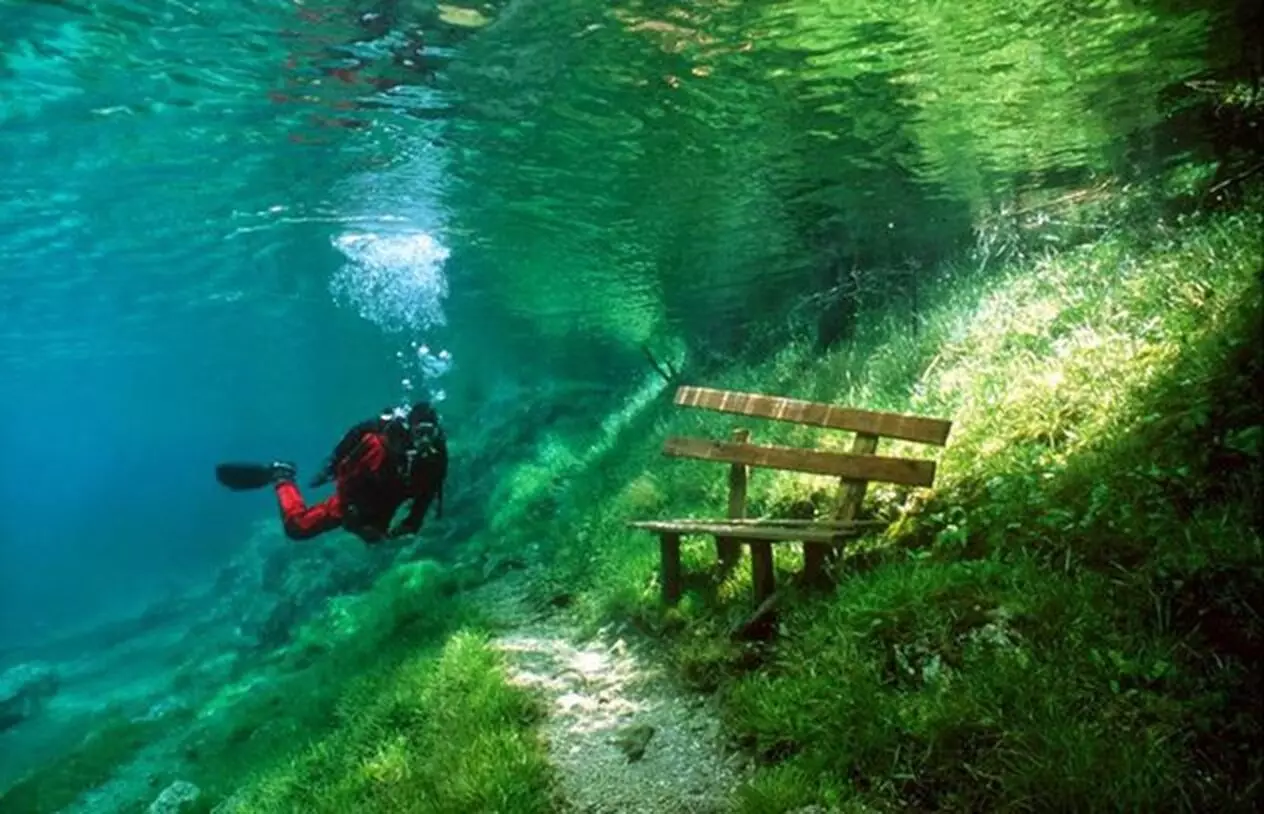 Grüner See mangrupikeun taman anu aya di handapeun cai unggal musim semi. Pagunungan Hochschwab sabudeureun taman Austria leutik ngumpulkeun jumlah badag salju salila usum tiis. Aya seueur pisan yén nalika salju salju, cai ngeusi dataran rendah dimana taman éta aya, ngajantenkeun daérah éta janten danau. Dina bulan Juli, cai surut. Dina musim semi, anjeun tiasa ningali bangku jero cai, sasak sareng jalur, sareng dina usum gugur anjeun tiasa dianggo di darat.