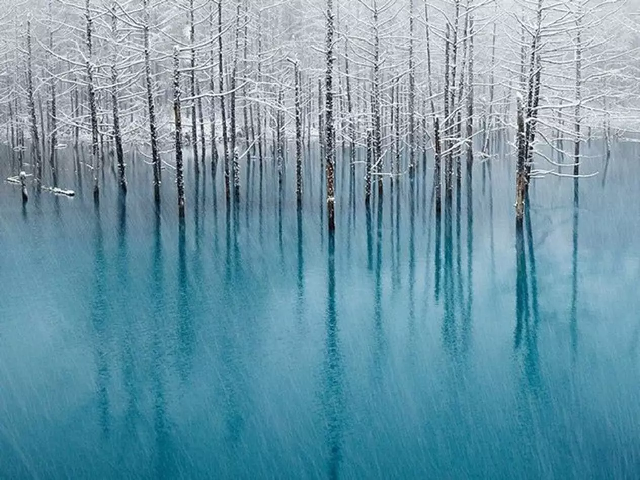 Tambak Biru Hokkaido. Cai balong ieu gaduh warna unik anu robah warna nalika ditingali tina sudut anu béda. Tambak ieu muncul dina 1988, nalika bendungan didirikeun di daérah éta pikeun ngalindungan tina mudflows. Élmuwan ngajelaskeun warna anu teu biasa ku campuran partikel aluminium hidroksida dina cai. Éta ngagambarkeun warna biru langkung saé tibatan cai biasa.