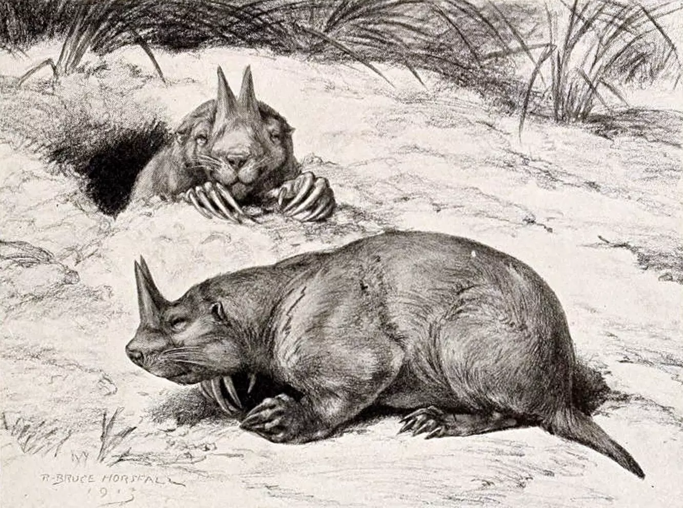 Fakta tentang haiwan pupus: apakah ciri haiwan prasejarah yang ramai tidak tahu 31195_10