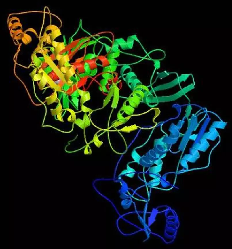 Fossil Virus: Eliina le Genome o le Tagata 323956_4