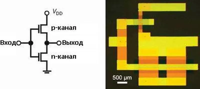 p- және n-арналарды қосатын органикалық транзистордың қосымша схемасы