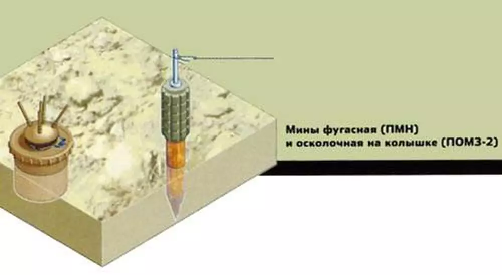 Мини-жаби: Како надвор од земјата 324672_2