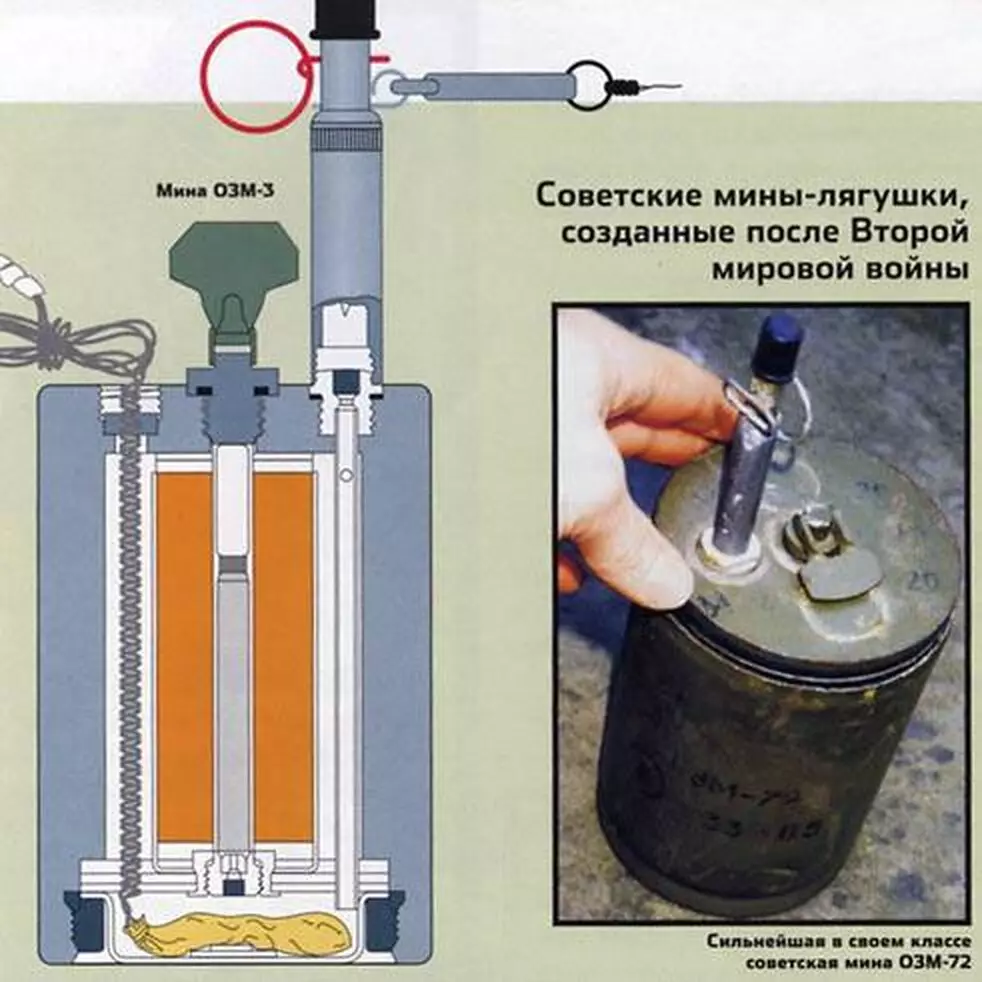 Мини-жаби: Како надвор од земјата 324672_4