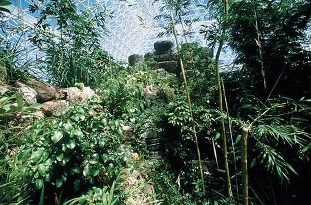 Leben unter der Kuppel: „Biosphere 2“ – to be! 324875_4