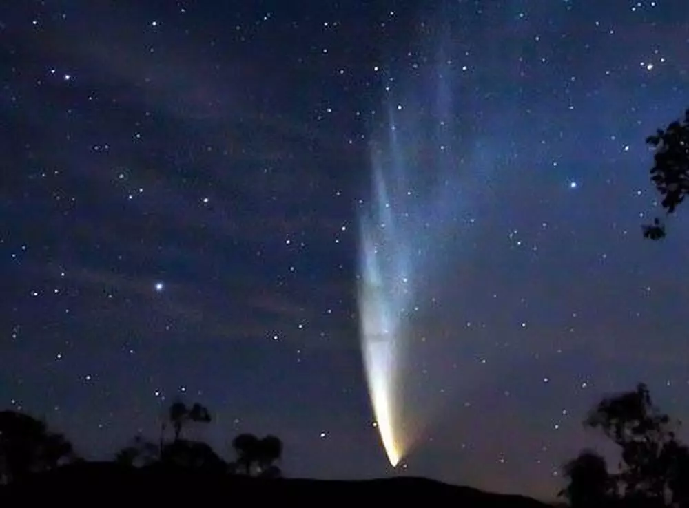 Zoo li Comet McNaught