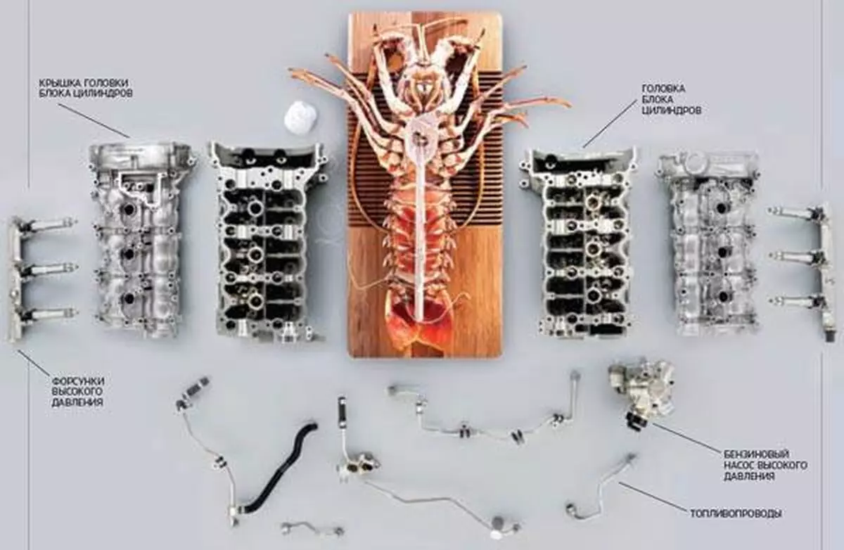 Engine Supper: Auto auf Diät 325552_1