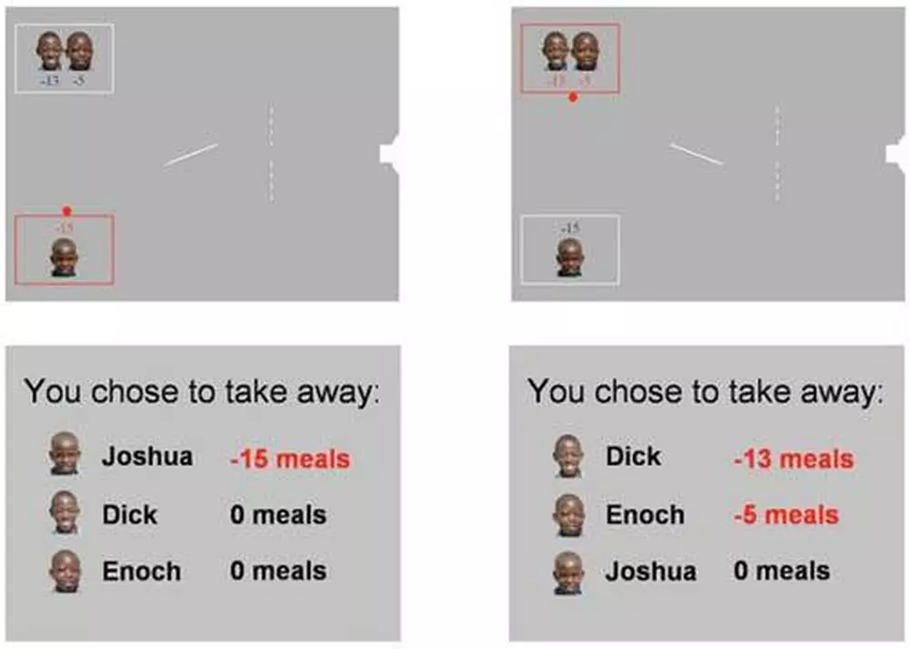 رضاکاروں کو ایک حرکت پذیری دکھائی گئی جس میں گیند دو سمتوں میں سے ایک میں حرکت کرتی ہے۔ اس کے متوازی طور پر، بدقسمت بچے کی تصویر اور کھانے کی سرونگ کی تعداد دکھائی گئی جو وہ ایک یا دوسرے آپشن کا انتخاب کرتے وقت کھو دے گا۔ زیادہ تر نے خوراک کی تقسیم کی حقیقی کارکردگی کو کم کرنے کا انتخاب کیا، لیکن زیادہ سے زیادہ انصاف حاصل کرنے کے لیے