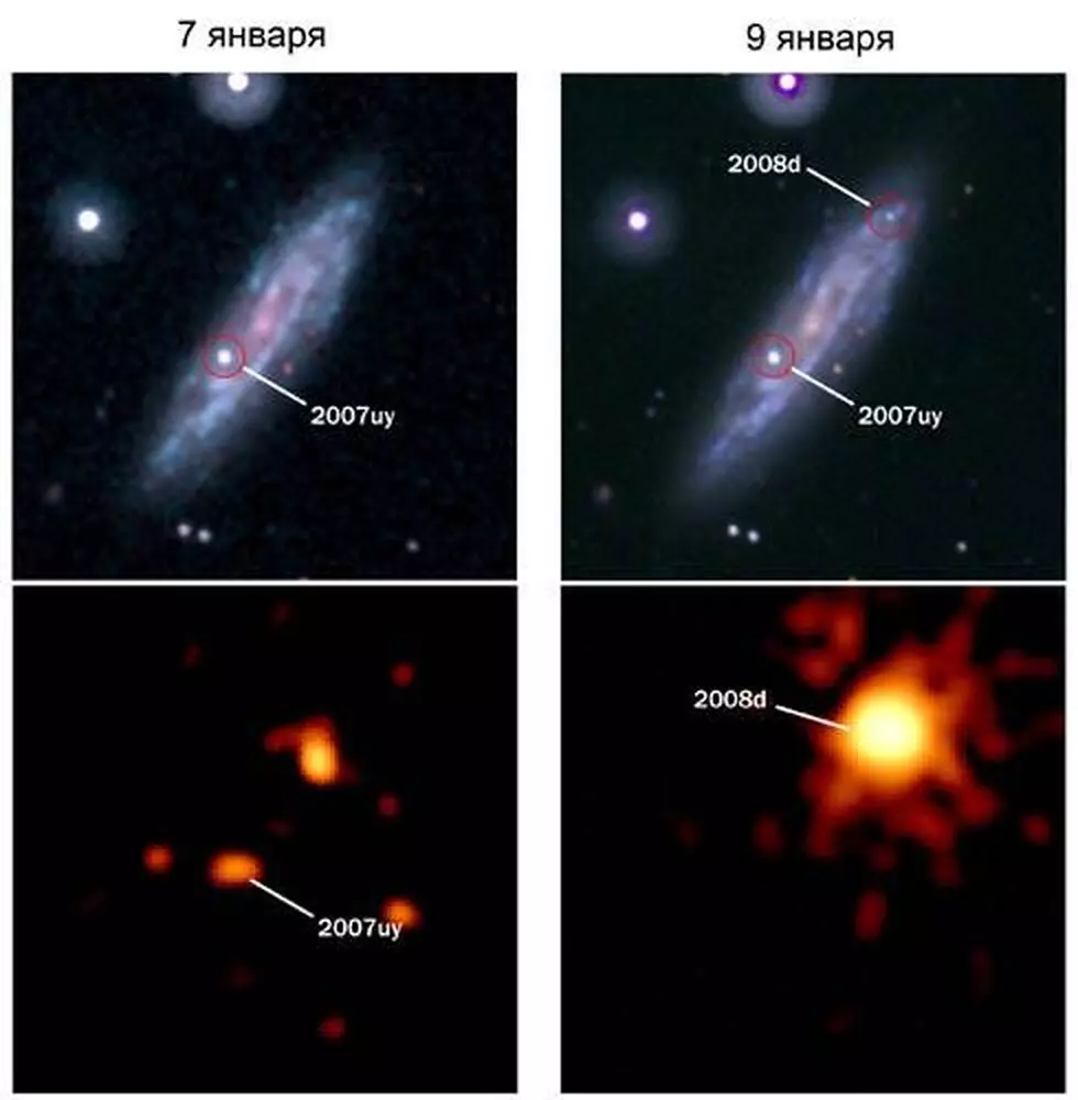 Wärend d'Supernova 2007uy observéiert hunn, hunn d'Wëssenschaftler zoufälleg d'Erscheinung vun enger anerer Supernova an der Géigend gemierkt - 2008D, fir d'éischt a Röntgenstrahlen (ënnen), an duerno an de siichtbaren an ultravioletten Deeler vum Spektrum (uewen)