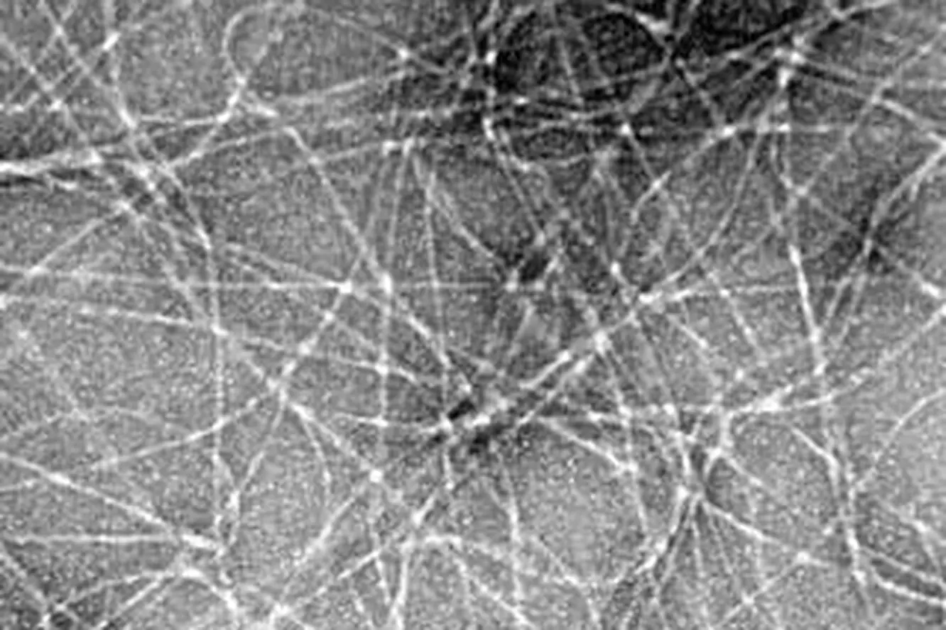 Gedenkplate vir nanotegnologie: van siekte tot nywerheid