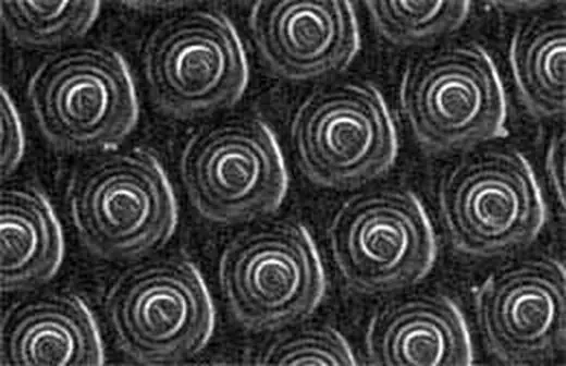 Microbattery electrodes (inenge 4 µm muhukuru) pasi pe electron maikorosikopu