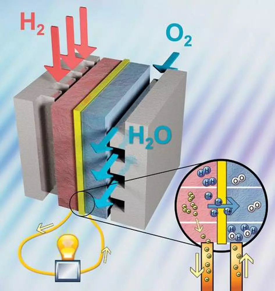 Ihame ryimikorere ya selile lisansi Ibice byingenzi bigize selile ya hydrogène ni electrode, polymeric proton-guhana membrane ikora nka electrolyte ikomeye, na catalizator. Hydrogen munsi yigitutu yinjira hejuru ya anode, mugihe ibora mo ion ebyiri na electron ebyiri (catalizator yihutisha iki gikorwa). Electron ijya mumuzunguruko wo hanze, ikora amashanyarazi, ikagwa kuri cathode. Muri icyo gihe, umwuka wa ogisijeni uva mu kirere nawo winjira muri cathode, ugahuza hamwe na ion ya hydrogène yanyuze muri membrane na electron ziva mu muzingi wo hanze, zikora amazi.