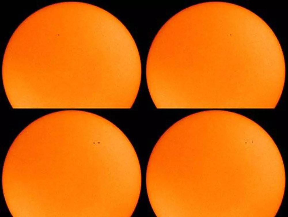 スポット群 1007 はハロウィーンに間に合うように出現し、約 4 日で太陽面の端まで移動しました (SOHO プローブからの画像)。