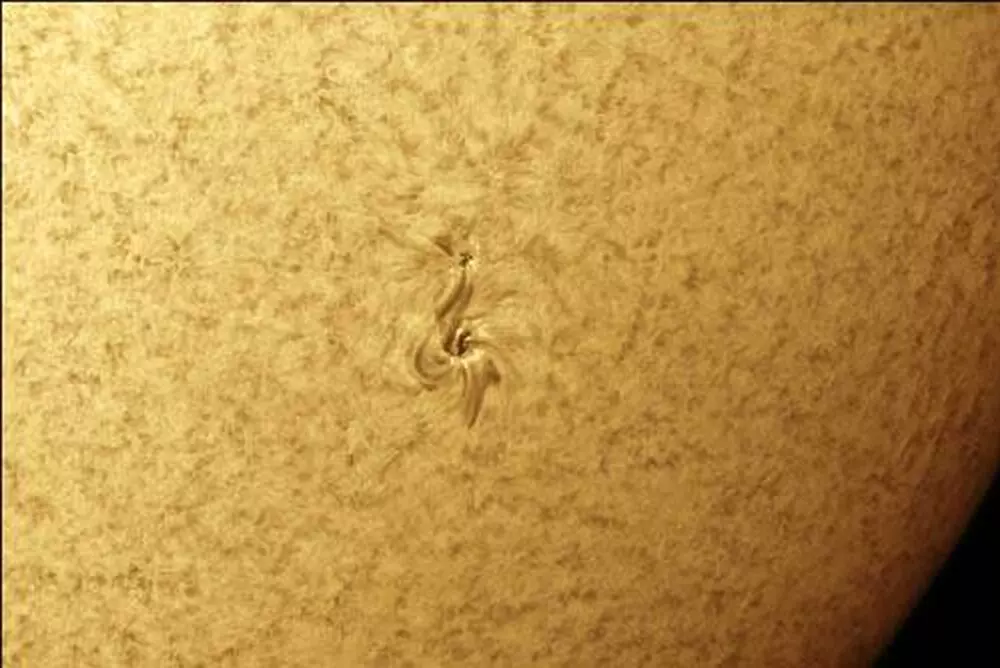 來自 1007 組的一個太陽黑子，由業餘天文攝影師艾倫·弗里德曼 (Alan Friedman) 拍攝