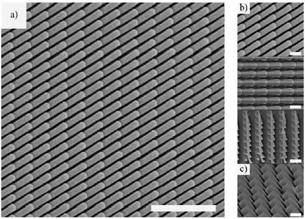 Mikrostruktura dobivenog materijala. (a) Vodoravno orijentirane polimerne nanoštapiće (ljestvica veličine, 1 µm). (b) Uvećani pogled odozgo (ljestvica veličine: 200 nm). (c) Poprečni presjek višeslojne strukture (ljestvica veličine: 200 nm)