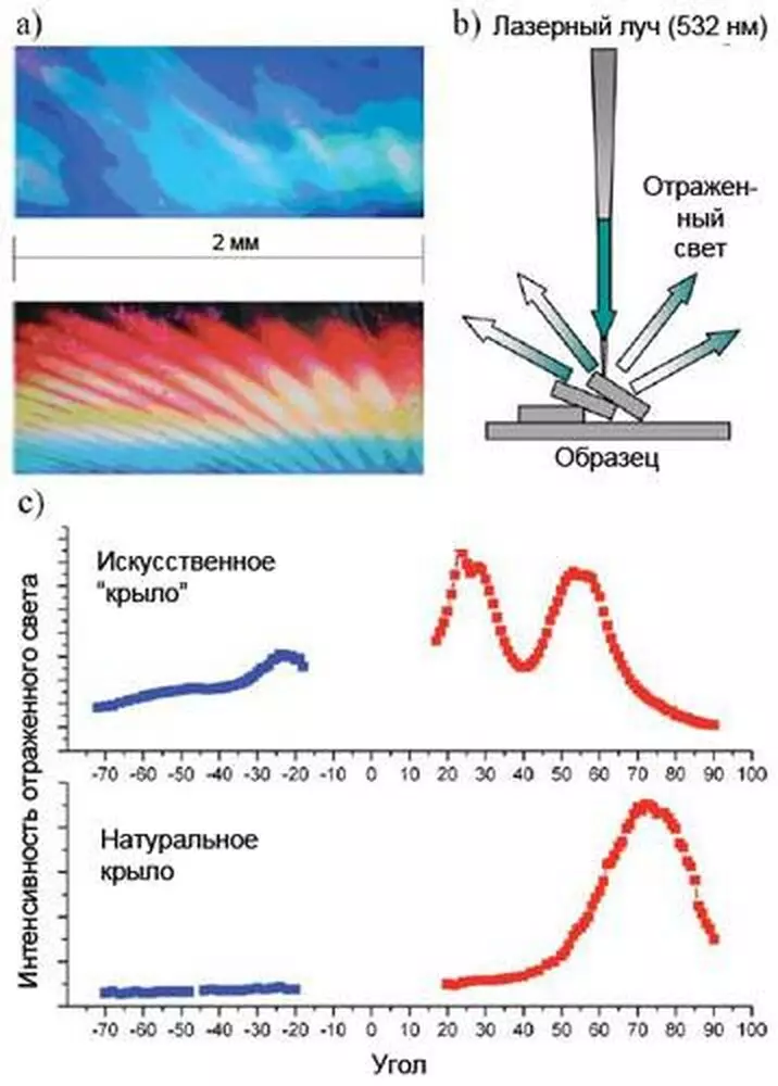 Rainbow effect murabhoritari. (a) Monochromatic uye iridescent kugovera kweruvara kana chimiro chikavhenekerwa nechiedza chichena panguva yekutenderera kuzere kutenderera kwakatwasuka axis. (b) Schematic yekuyera kuseta. (c) Kusimba kwechiedza chinotaridza maringe nekona pamwe negwara rinoratidzwa mu (b)