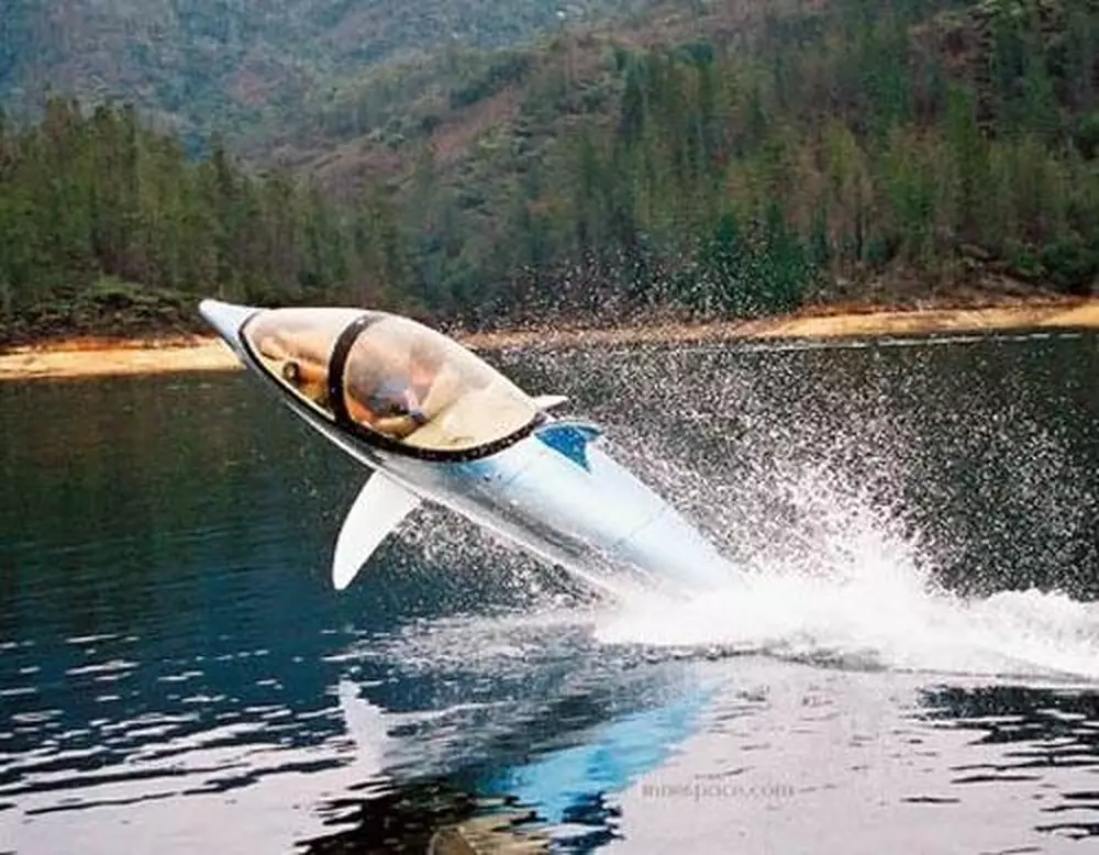 Dolphin Hannu: Jump Boat 328106_1