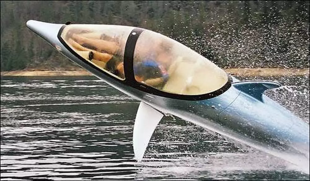 Dolphin Hannu: Jump Boat 328106_3