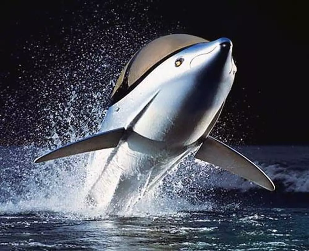 Dolphin Hannu: Jump Boat 328106_4