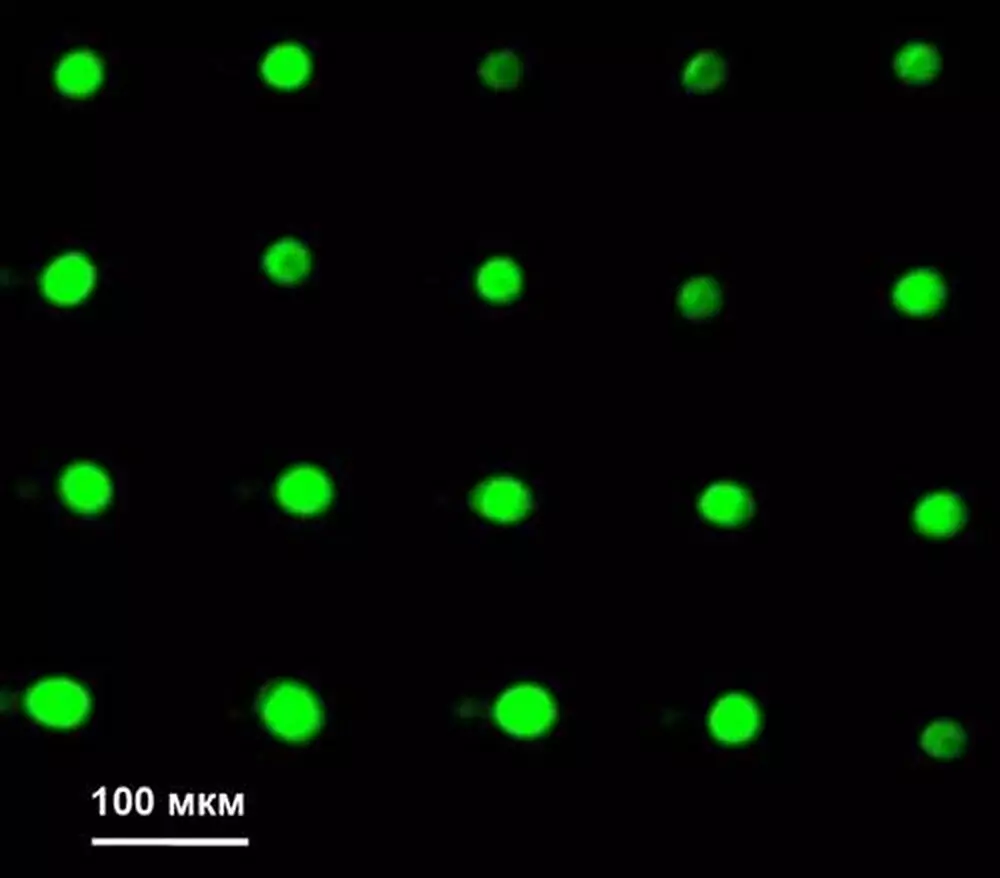 Polystyrene hais los ntawm 200 µm suab