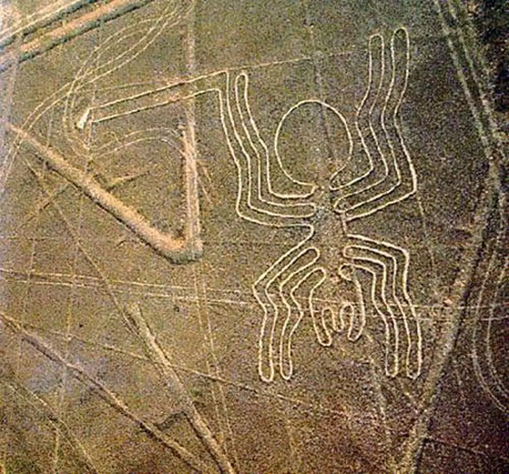 Of hierdie spinnekop - soos sommige van die honderde Nazca-geogliewe, is dit honderde meters deursnee