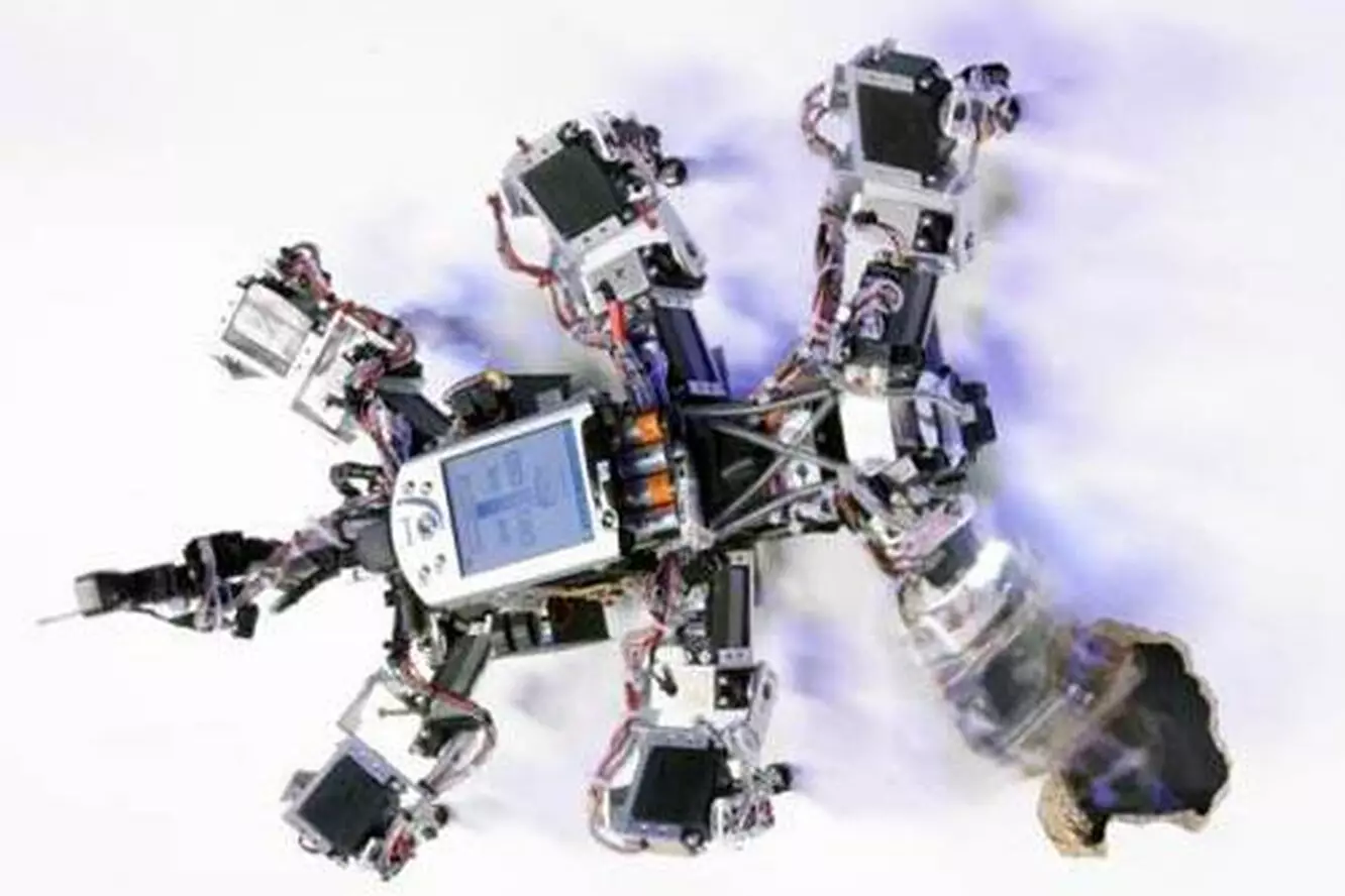 Robot Walk: จังหวะและความโกลาหล