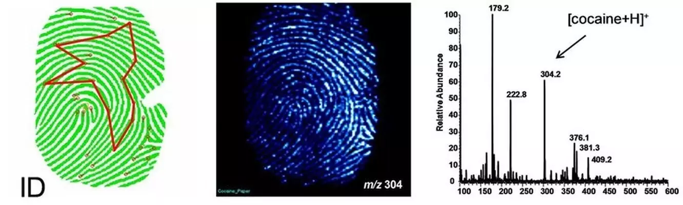 Mjere našeg života: biometrija 329079_8