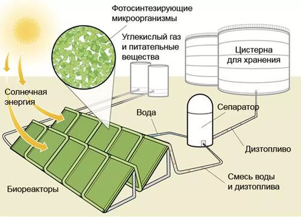 Fferm Danwydd: Mae amrywiaeth o fio-adweithyddion yn amsugno golau'r haul ac yn defnyddio carbon deuocsid a maetholion i gynhyrchu tanwydd trwy ffotosynthesis. Mae'r gwahanydd yn gwahanu'r cynhyrchion gwastraff, gan gymryd tanwydd disel a dychwelyd dŵr yn ôl i'r system