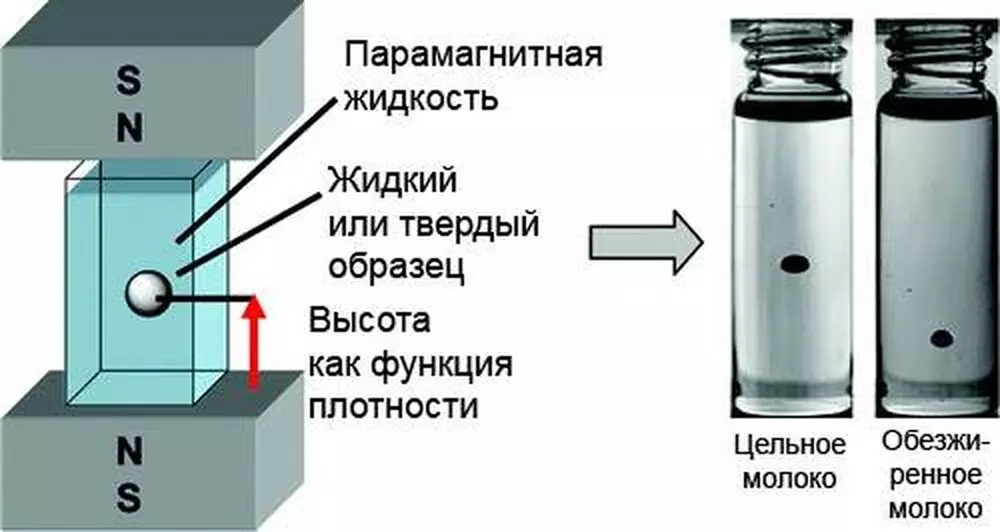 Magnet freshness: Sakafo manidina 329606_2