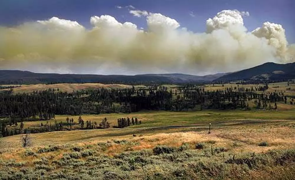 Gizagizai na Pyrocumulative sun taso a kan tsaunuka masu aman wuta da kuma gobara mafi ƙarfi - kamar wadda ta kai ga bayyanuwa a filin shakatawa na Yellowstone na Amurka.