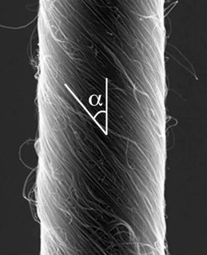 Serat nanotube karbon 3,8 micron tiasa fungsina sapertos serat otot nalika dicelupkeun dina cairan anu ngalaksanakeun ion sareng dieusi. Sudut alfa pakait sareng bédana antara orientasi nanotube sareng untaian sacara gembleng