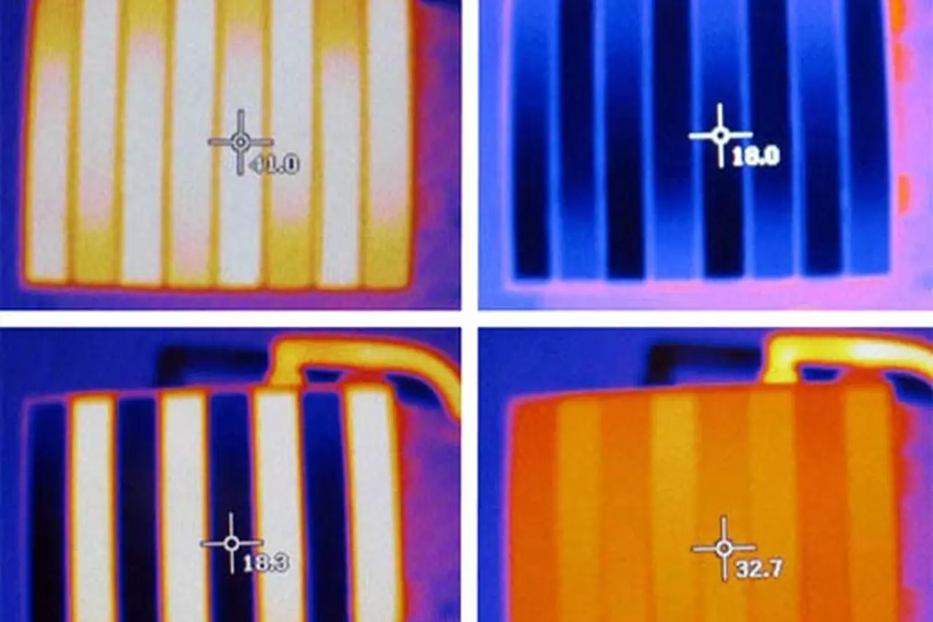 Grill Illusion: Neuronak eta Saltxitxak