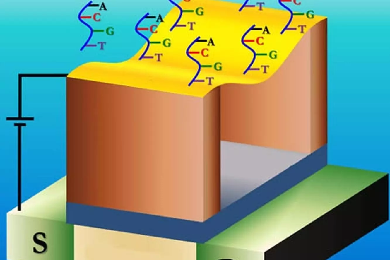 Sense of Molecules: Déi duebel Natur vu Flexure-FET