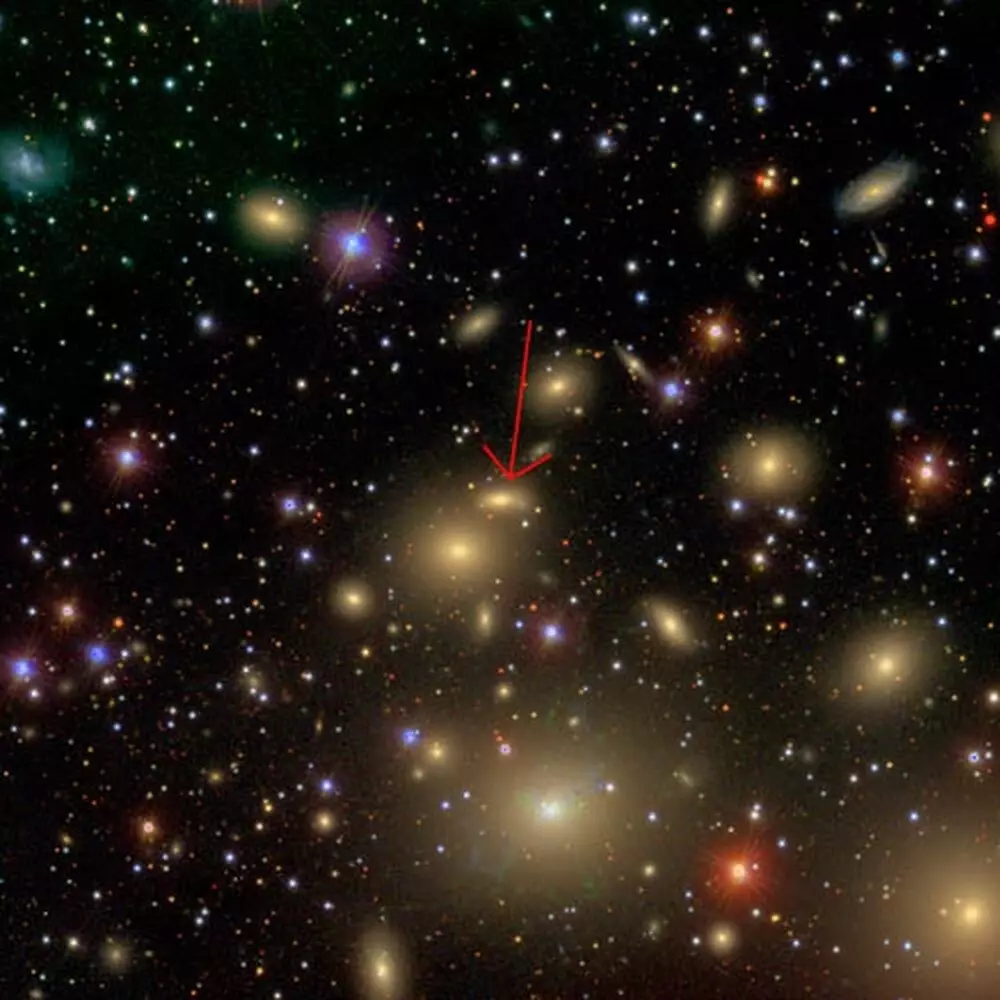 NGC 1277 (oʻq bilan belgilangan) Perseus klasteridagi gʻayrioddiy galaktikadir. Ammo uning qora tuynug'i gigant bo'lib, massasi 17 milliard quyoshdan oshadi