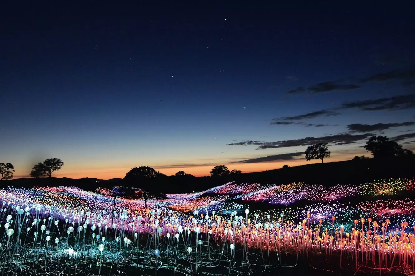 Monna ea Fetotseng Naha ka ho sa Feleng: Masimo a Shimmering ka Bruce Munro