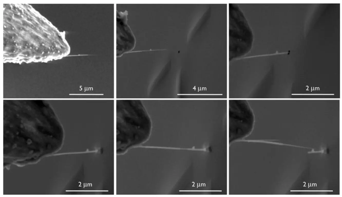 Abacwaningi basebenzise i-nanomanipulator ukuxhuma ishubhu le-boron nitride emgodini ongu-150 nm.