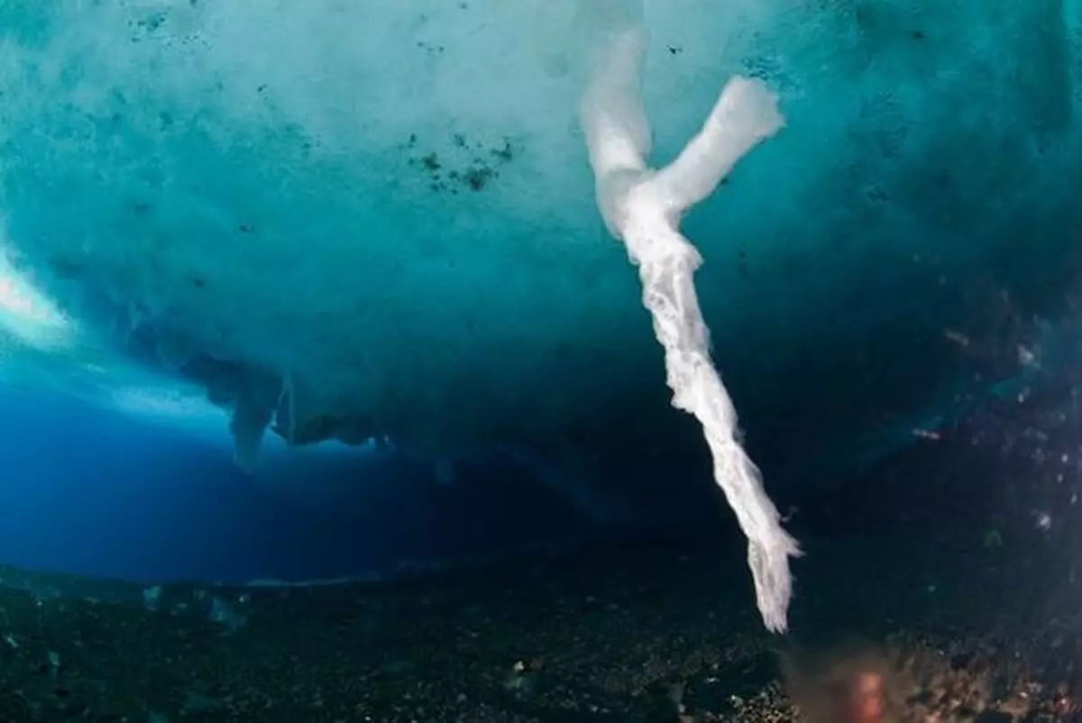 Крижаний сталактит «Палець смерті», знятий під час експедиції ВВС, вморозив у кригу безліч мешканців морського дна.