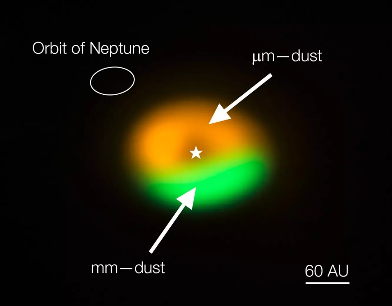 Na parte da nube de gas e po, marcada en verde, as partículas concéntranse na orde de milímetros de tamaño, que ben poden crecer ata alcanzar o tamaño dos cometas. Na rexión laranxa, a densidade da substancia é menor e os tamaños das partículas son máis pequenos (da orde de micras). Para efectos de escala, o tamaño da órbita de Neptuno móstrase á esquerda.