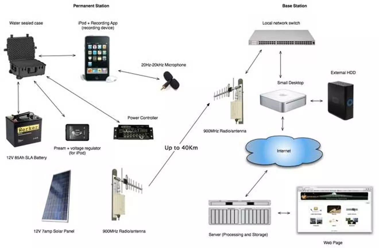 ARBIMON system