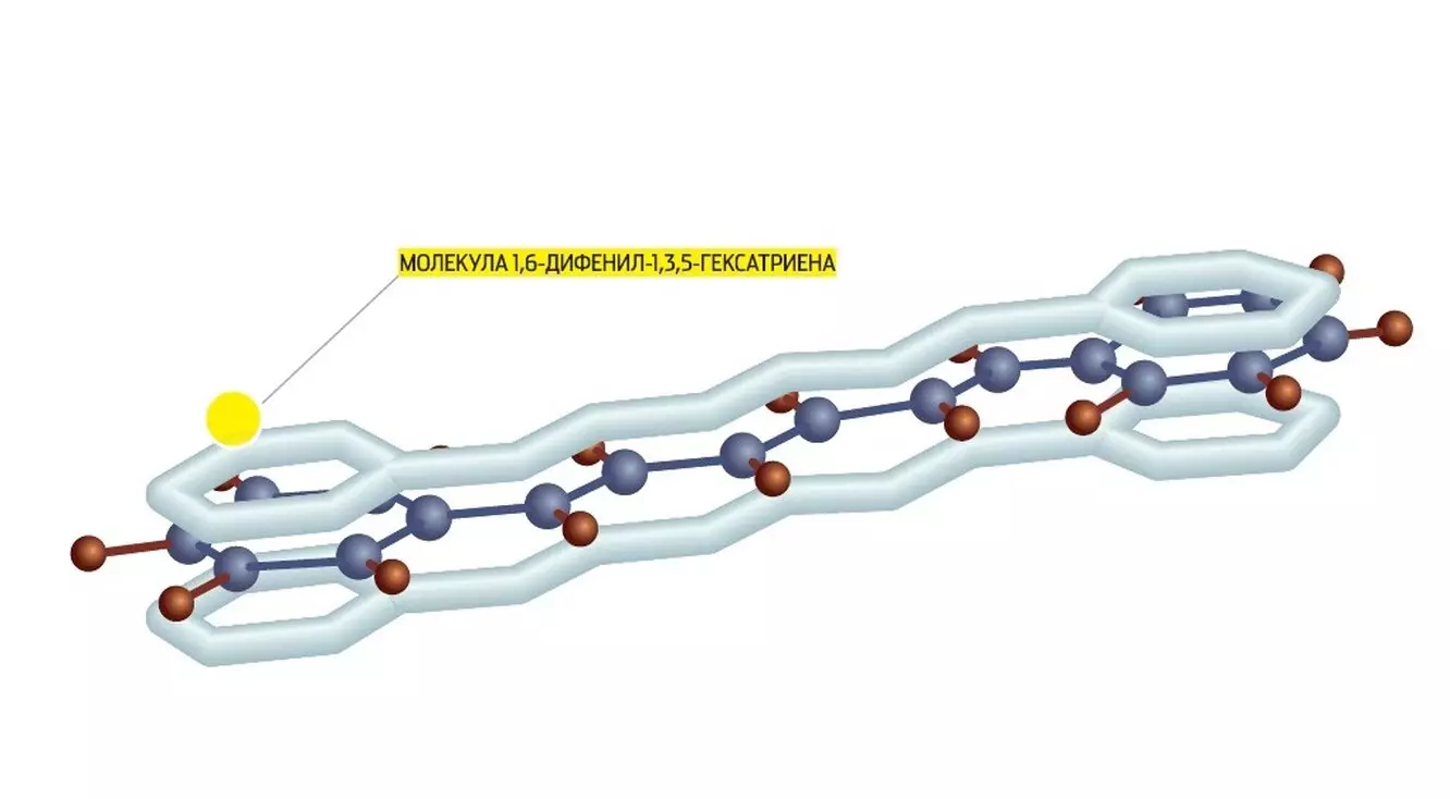 Laureatët e Nobelit 2013 335448_2