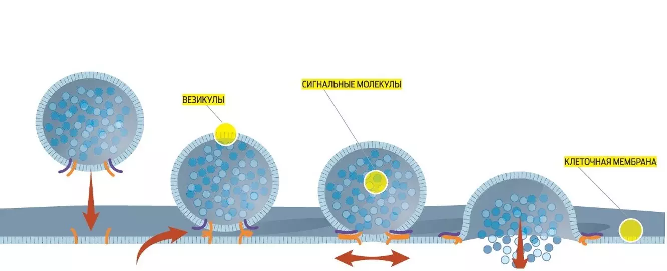 Nobel laureates 2013 335448_4