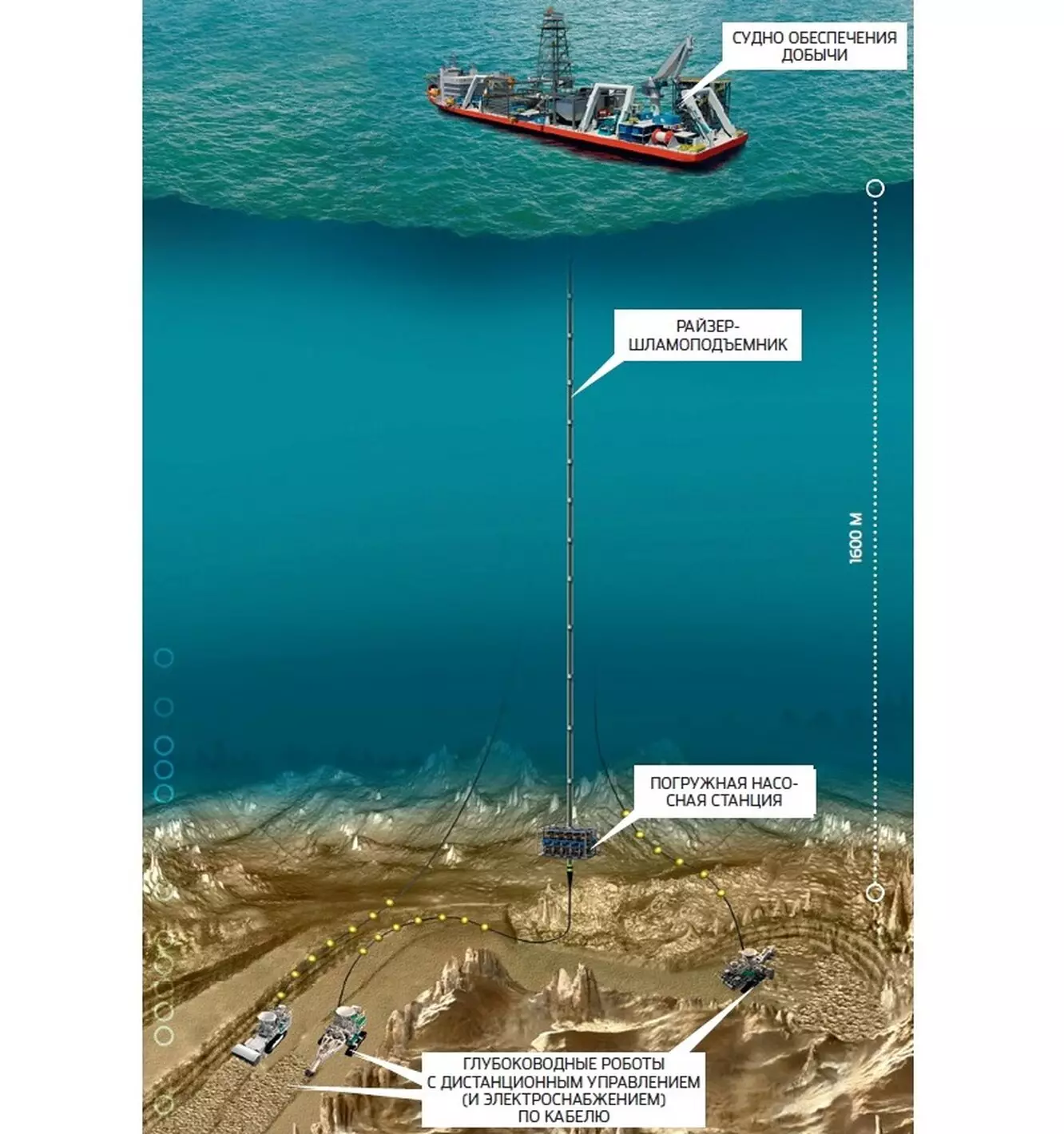 Deep-sea quarry: nws yog dab tsi thiab nws ua haujlwm li cas 337693_5