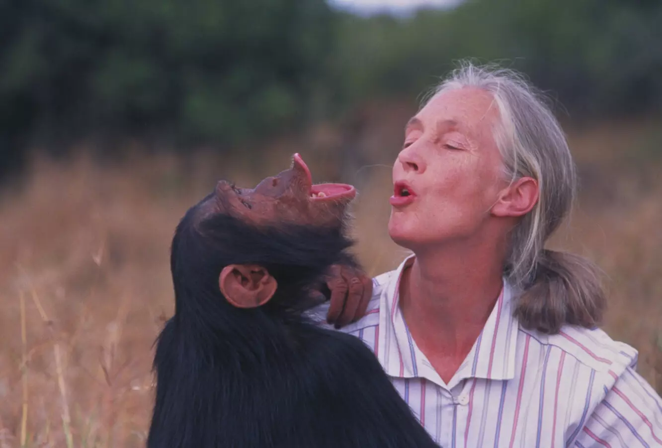 Jane Goodall