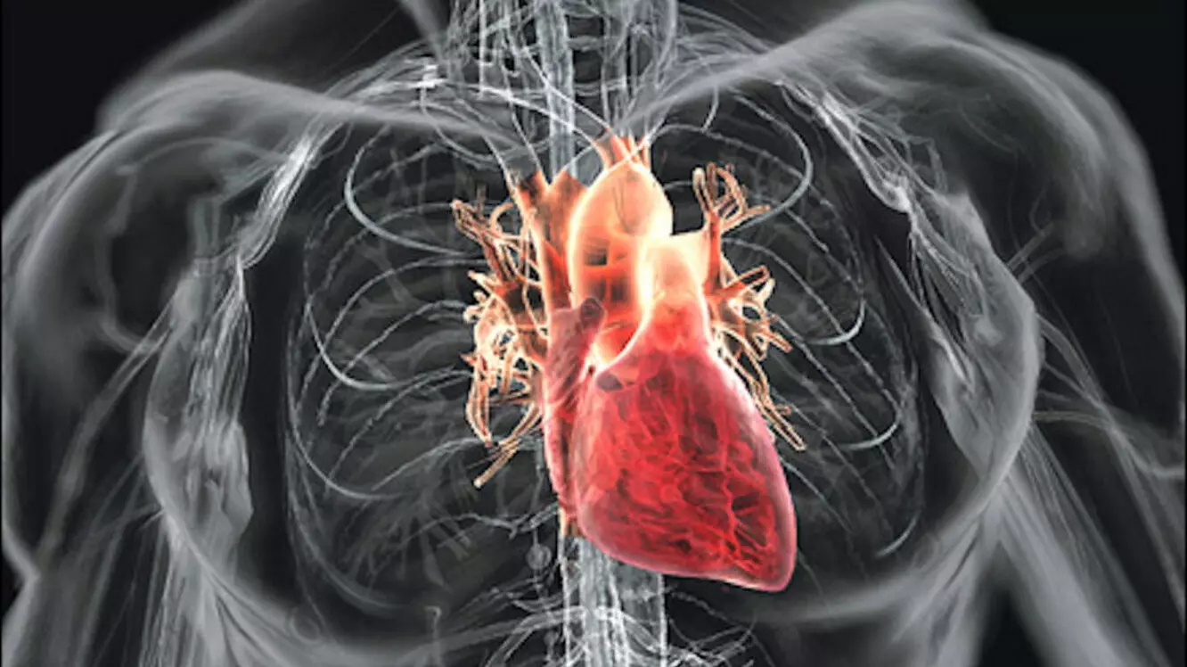 Τα κύτταρα του εγκεφάλου και της καρδιάς κατάφεραν να αναπτυχθούν χωρίς να καταφύγουν στη γενετική 343432_1