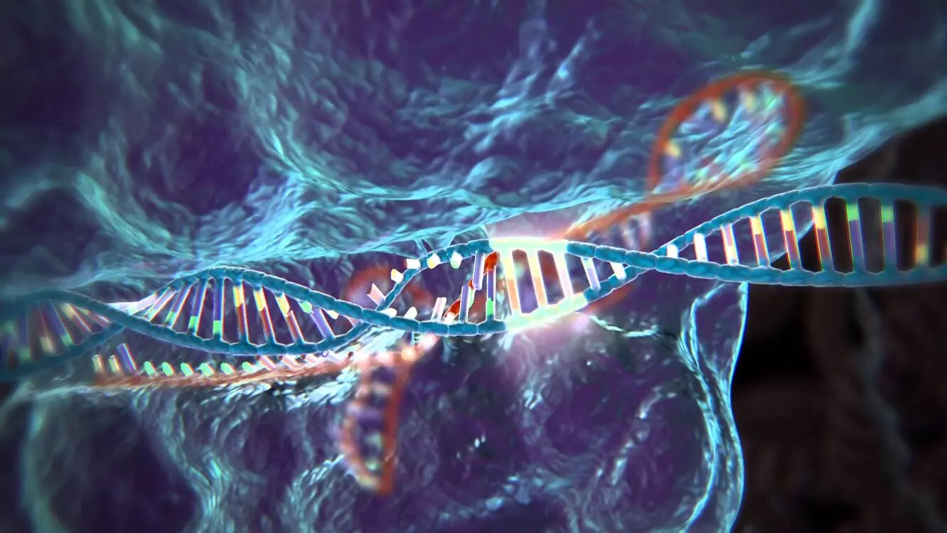 CRISPR/Cas9 ile genom düzenleme sürecinin görselleştirilmesi
