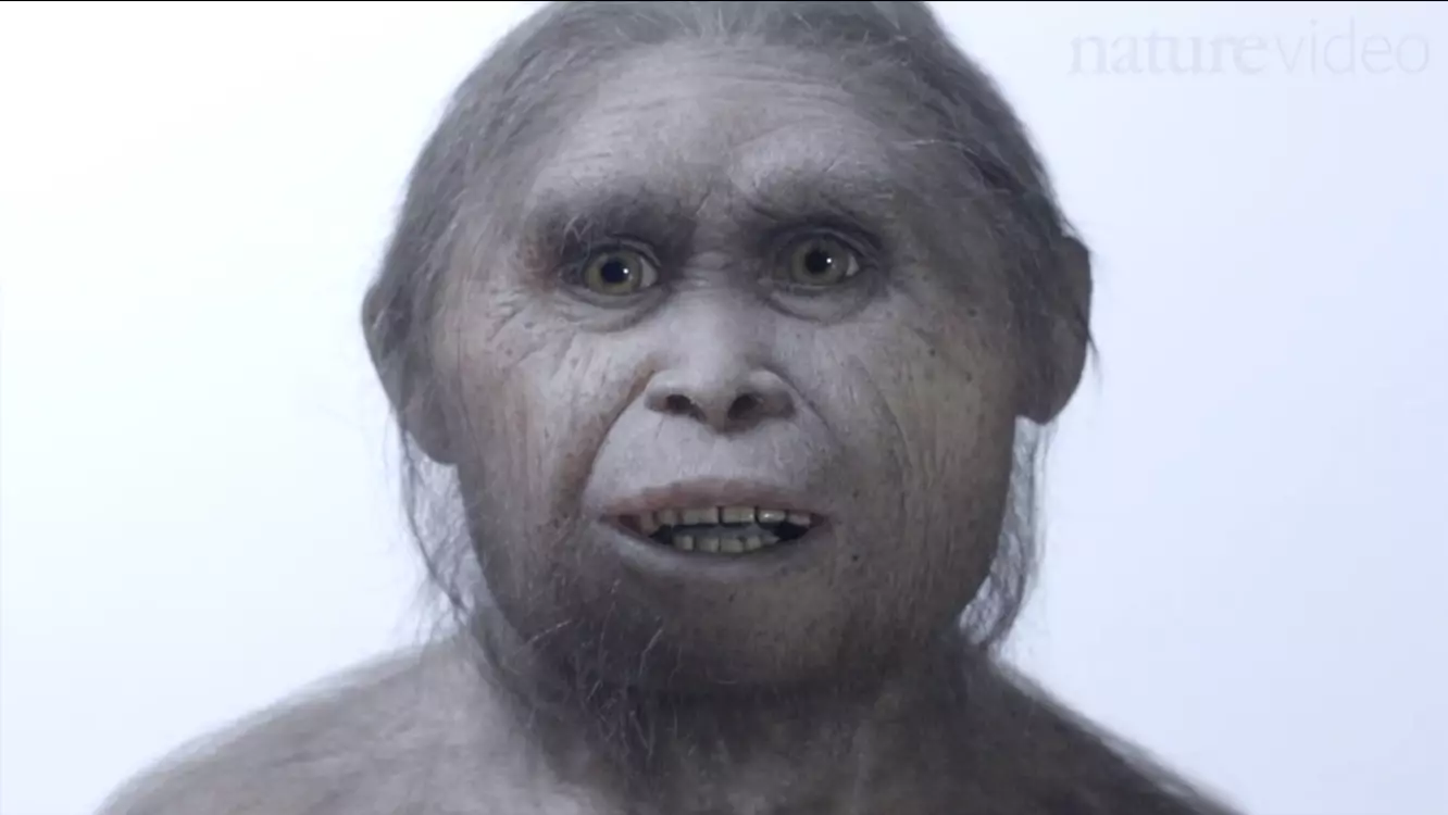 Homo floresiensis. кайра куруу.