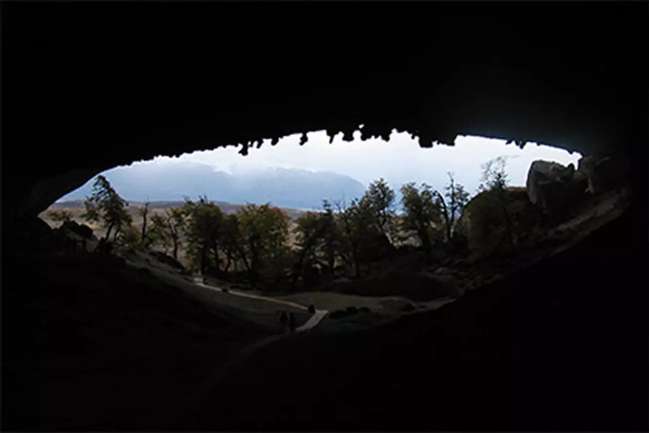 Dinamakan penyebab kepunahan massal hewan di Patagonia