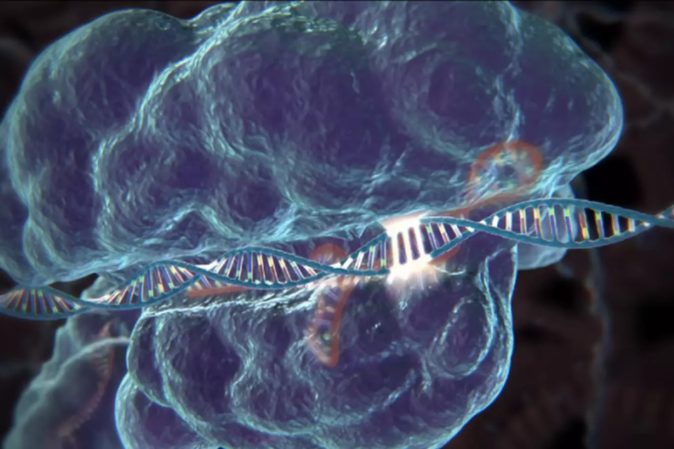 Spreminjanje človeškega genoma je dovoljeno