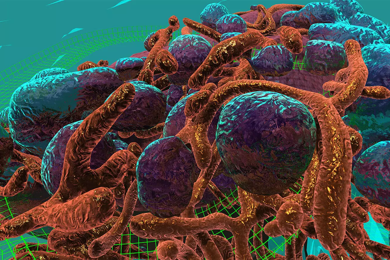 Alicia en una célula cancerosa: un tumor en realidad virtual 344575_1