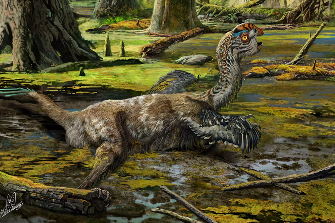 चीन में खोजा गया नया डायनासोर जीवाश्म